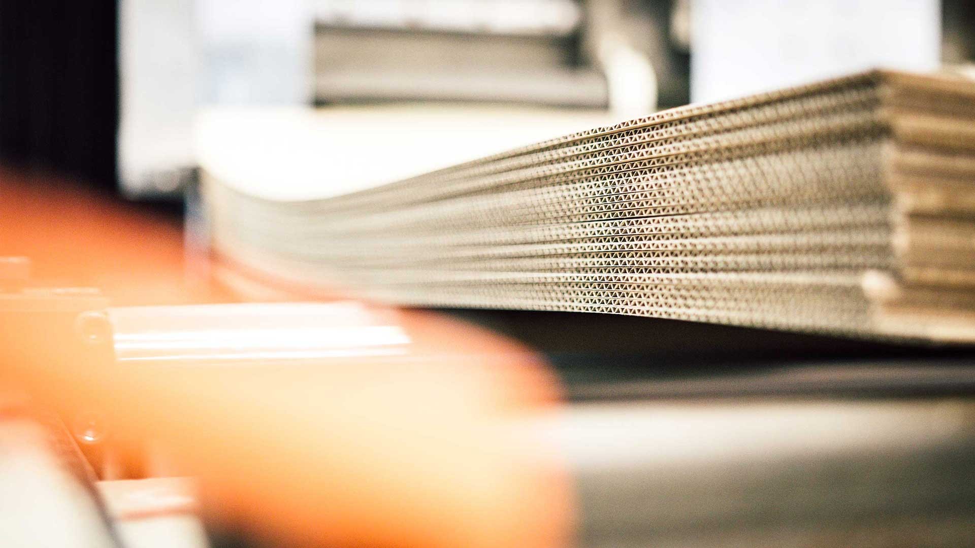 Prodajni program kartonske embalaže - DUKART